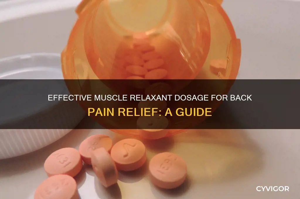 Effective Muscle Relaxant Dosage For Back Pain Relief: A Guide | CyVigor