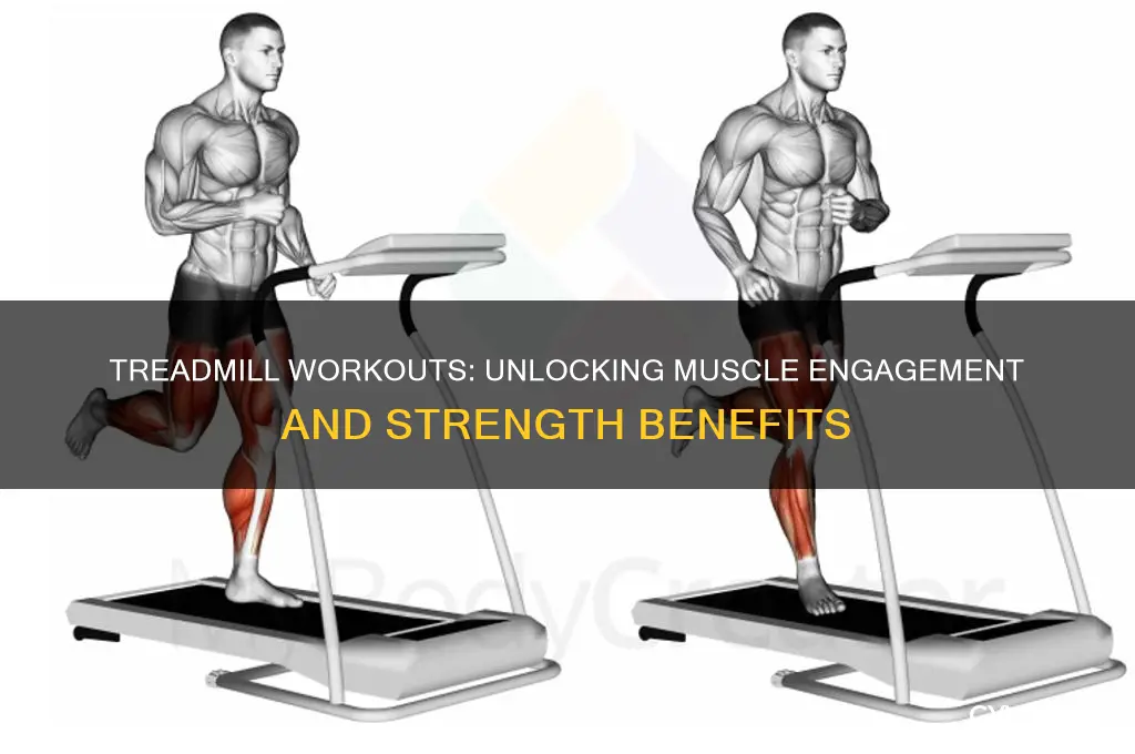 Treadmill Workouts: Unlocking Muscle Engagement And Strength Benefits ...