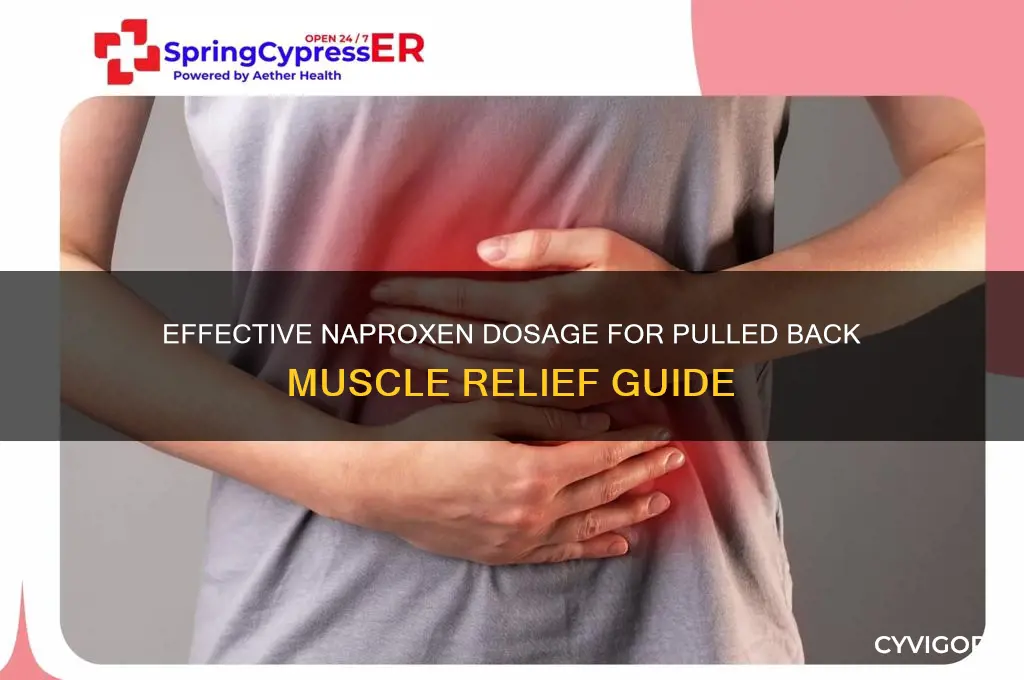 Effective Naproxen Dosage For Pulled Back Muscle Relief Guide | CyVigor