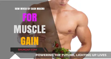 Optimal Protein Intake For Muscle Gain At 170 Lbs | CyVigor