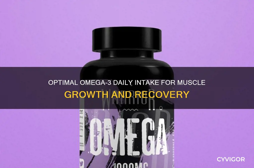 Optimal Omega-3 Daily Intake For Muscle Growth And Recovery | CyVigor