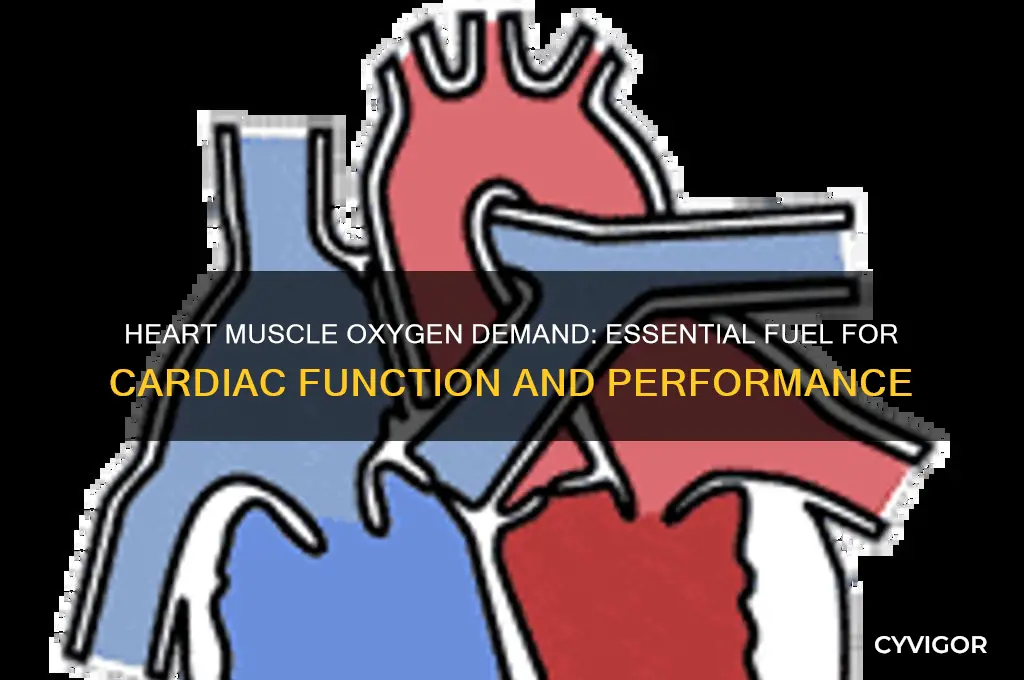 Heart Muscle Oxygen Demand: Essential Fuel For Cardiac Function And ...