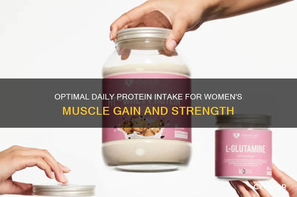 Optimal Daily Protein Intake For Women's Muscle Gain And Strength | CyVigor
