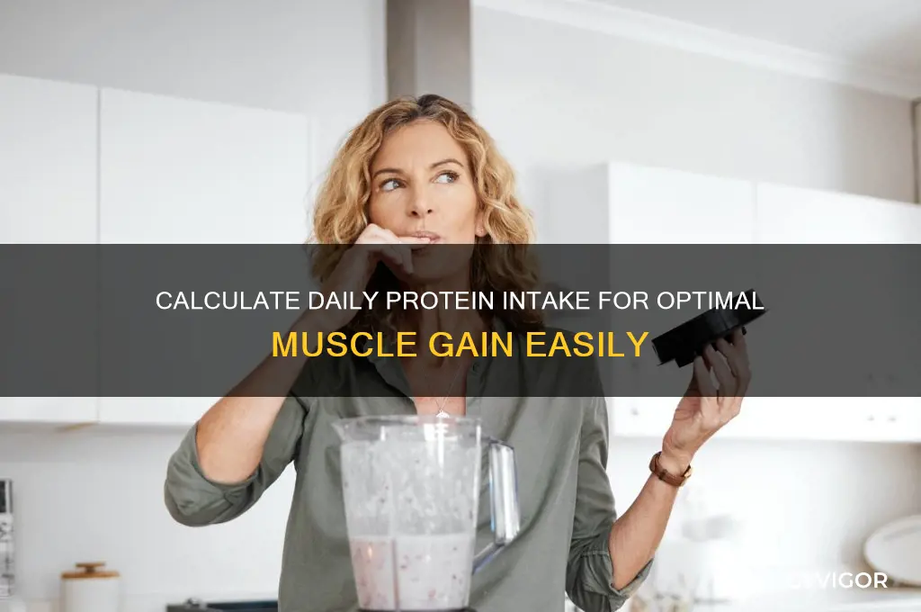 Calculate Daily Protein Intake For Optimal Muscle Gain Easily | CyVigor