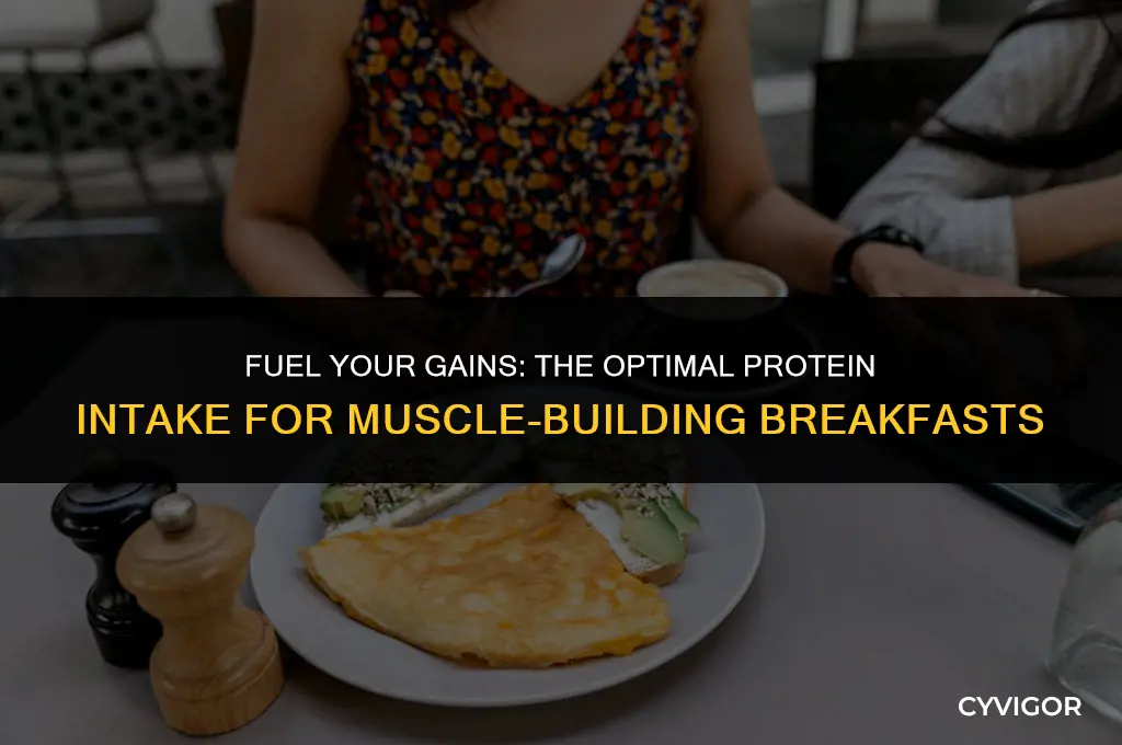 Fuel Your Gains: The Optimal Protein Intake For Muscle-Building ...