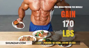 Optimal Protein Intake For 14-Year-Olds To Build Muscle Safely | CyVigor