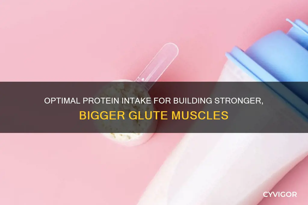 Optimal Protein Intake For Building Stronger, Bigger Glute Muscles ...