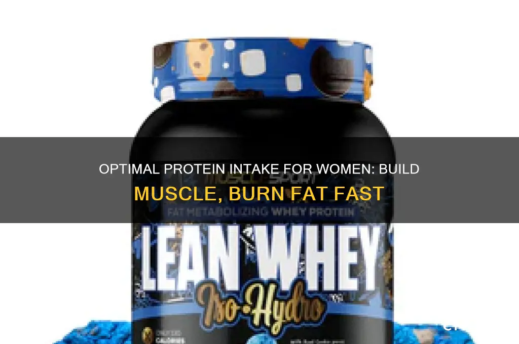 Optimal Protein Intake For Women: Build Muscle, Burn Fat Fast | CyVigor