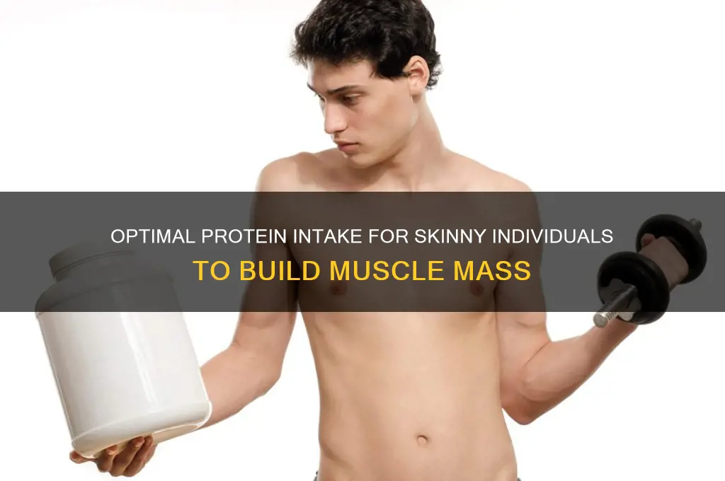 Optimal Protein Intake For Skinny Individuals To Build Muscle Mass ...