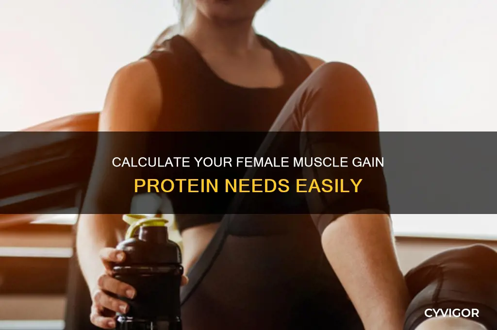 Calculate Your Female Muscle Gain Protein Needs Easily | CyVigor
