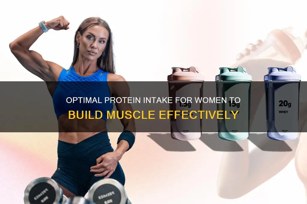 Optimal Protein Intake For Women To Build Muscle Effectively | CyVigor