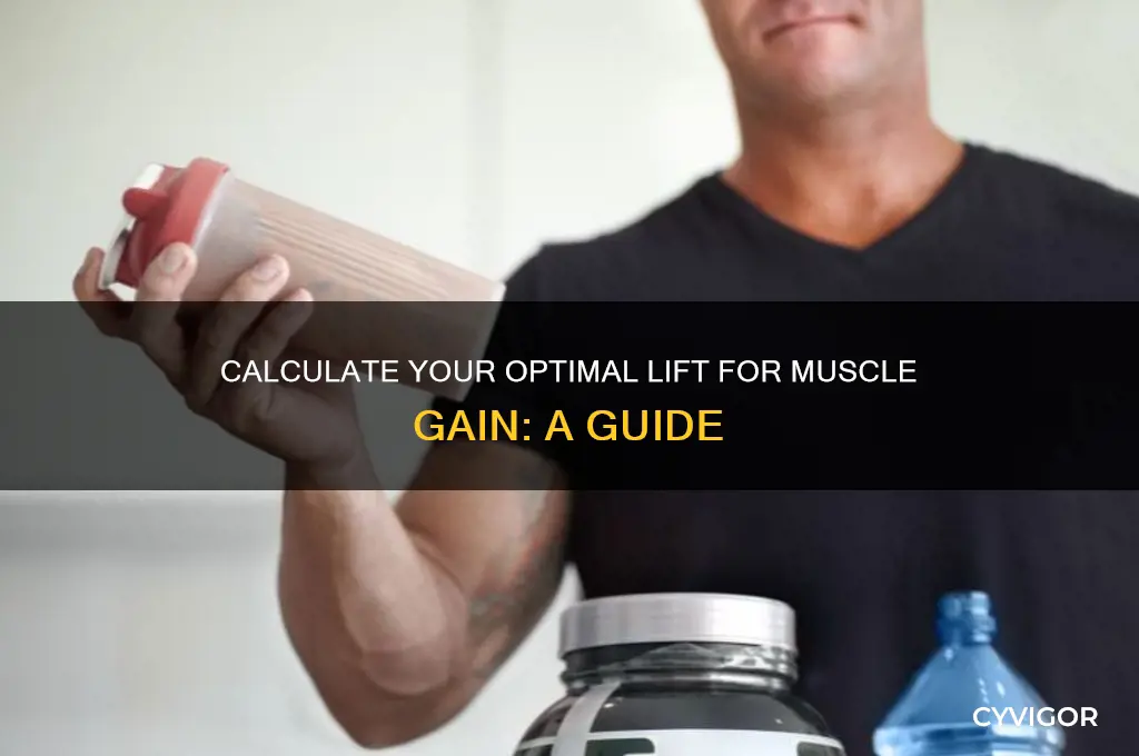 Calculate Your Optimal Lift For Muscle Gain: A Guide | CyVigor