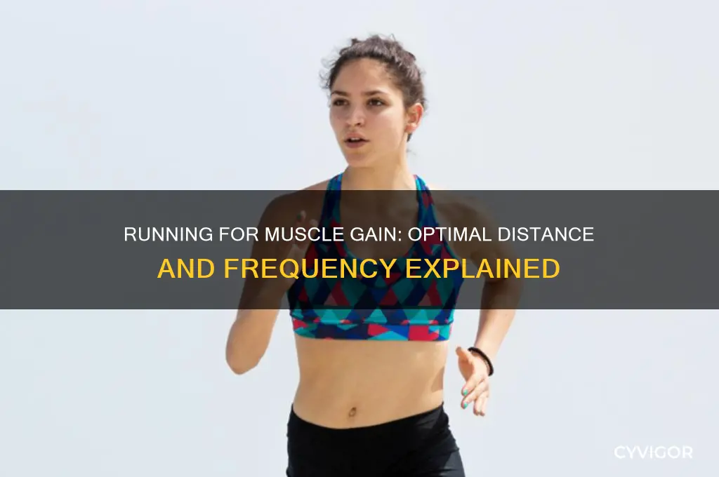 Running For Muscle Gain: Optimal Distance And Frequency Explained | CyVigor
