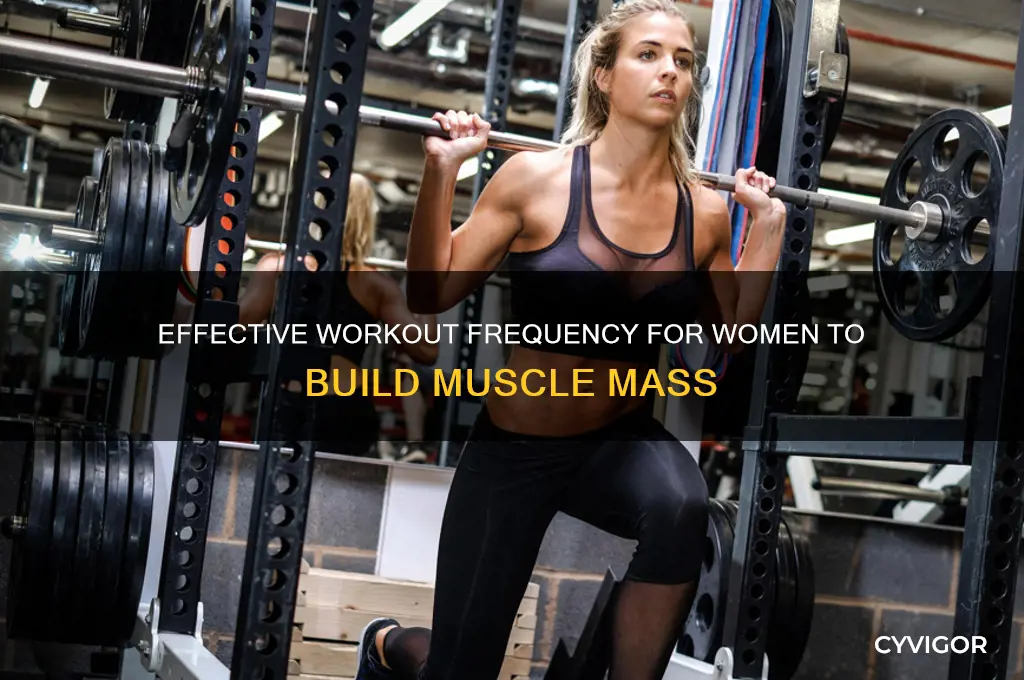 Effective Workout Frequency For Women To Build Muscle Mass | CyVigor