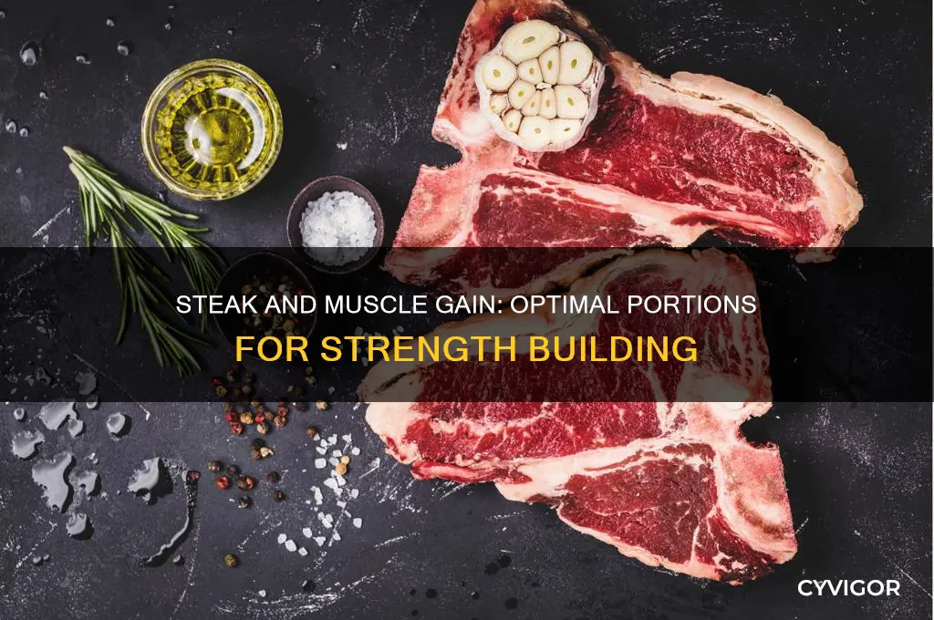 Steak And Muscle Gain: Optimal Portions For Strength Building | CyVigor