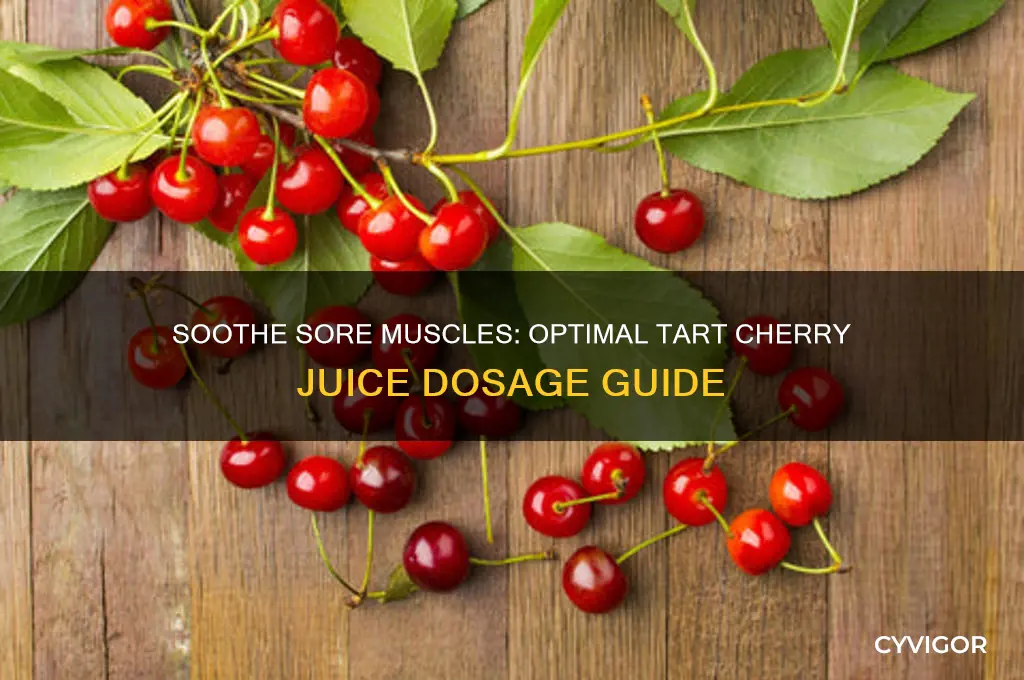 Soothe Sore Muscles: Optimal Tart Cherry Juice Dosage Guide | CyVigor