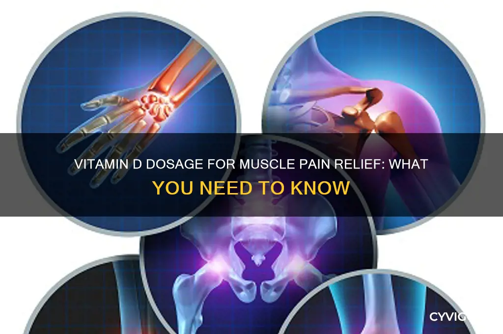 Vitamin D Dosage For Muscle Pain Relief: What You Need To Know | CyVigor