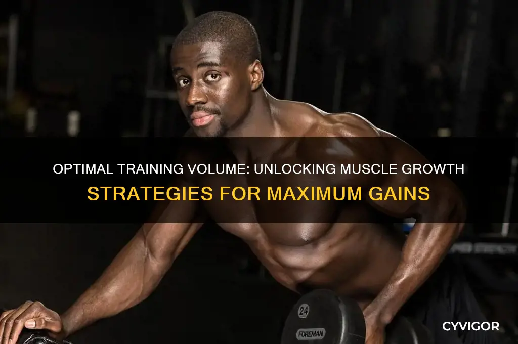 Optimal Training Volume: Unlocking Muscle Growth Strategies For Maximum ...