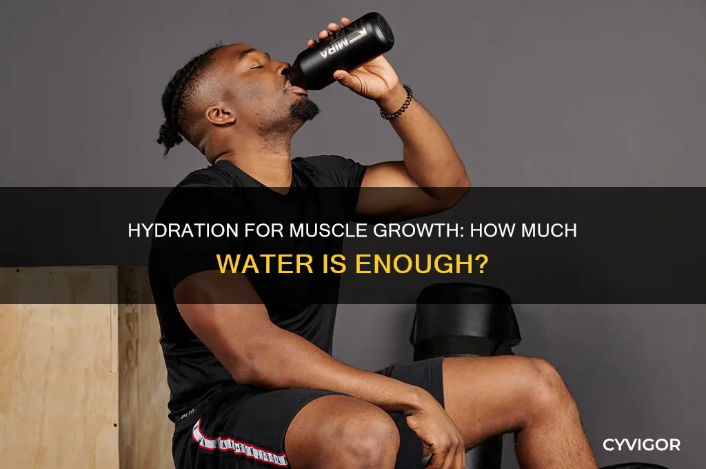 Hydration For Muscle Growth: How Much Water Is Enough? | CyVigor