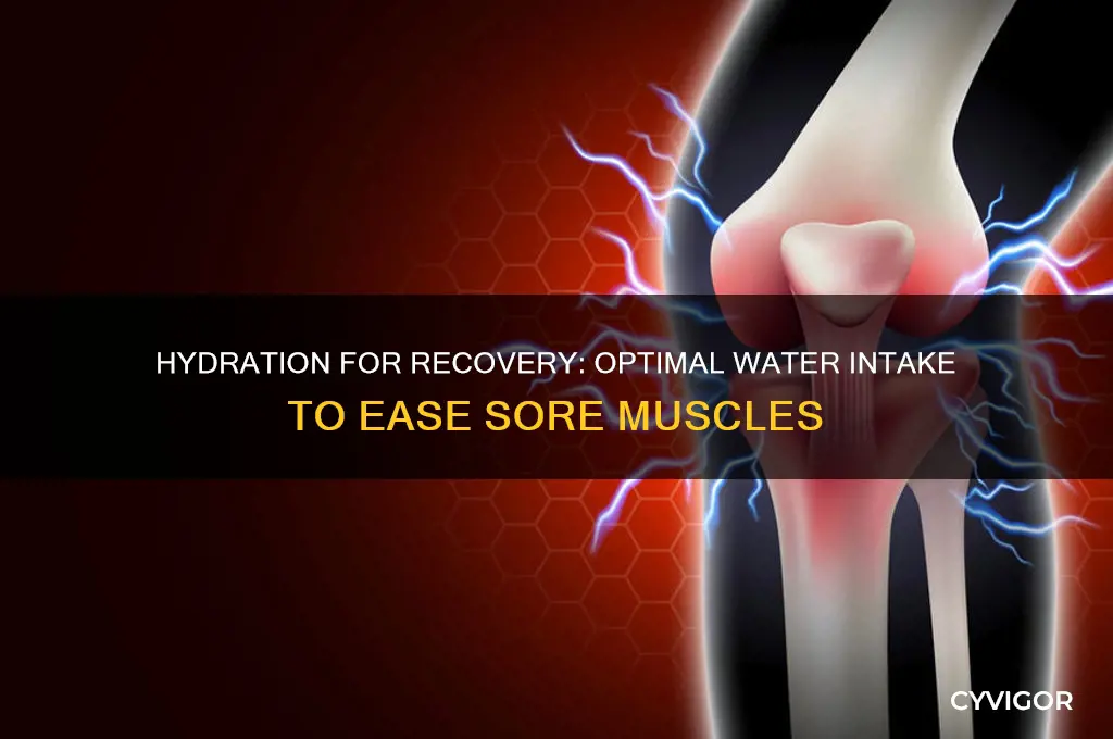 Hydration For Recovery: Optimal Water Intake To Ease Sore Muscles | CyVigor