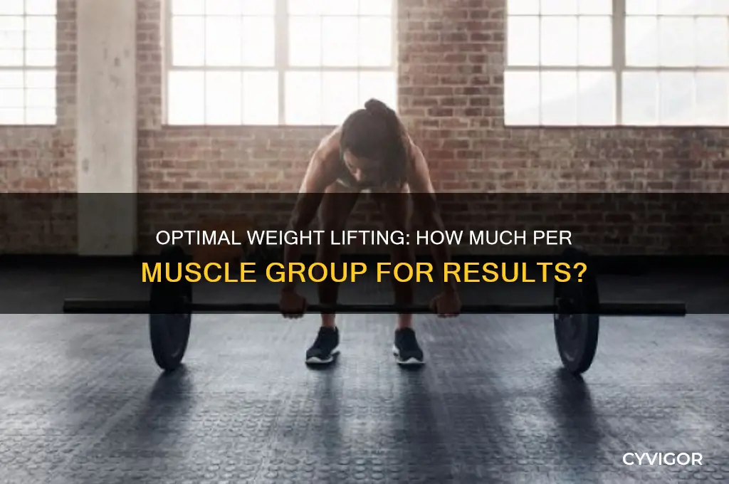 Optimal Weight Lifting: How Much Per Muscle Group For Results? | CyVigor