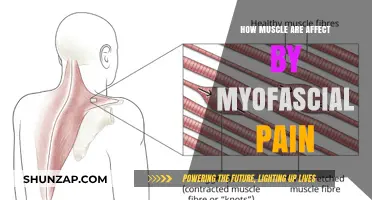 Understanding The Pain And Recovery Of A Grade 2 Muscle Tear | CyVigor