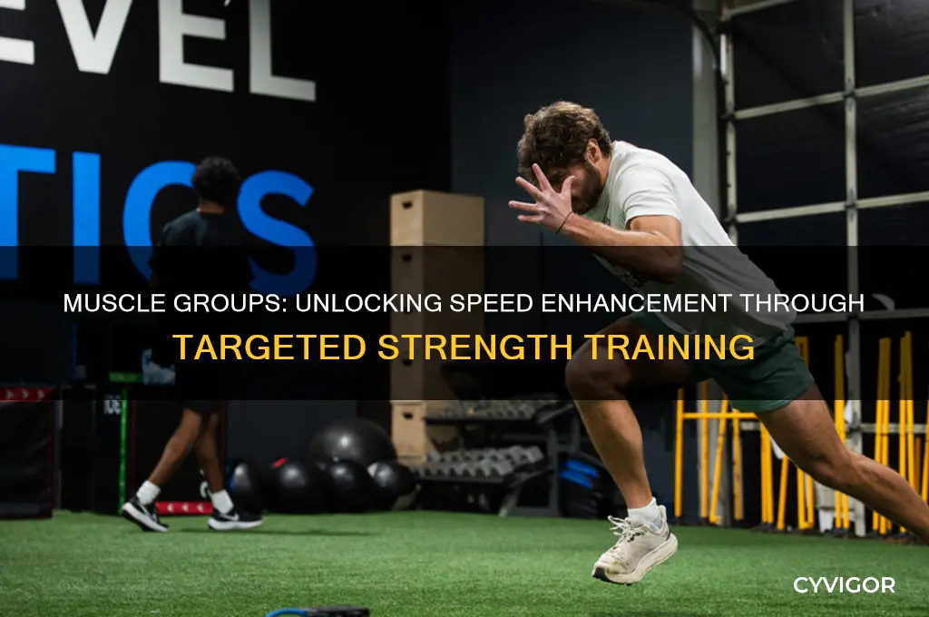 Muscle Groups: Unlocking Speed Enhancement Through Targeted Strength ...