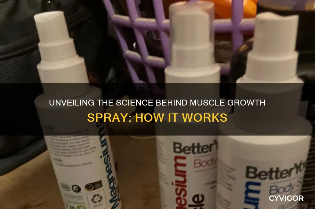 Unveiling The Science Behind Muscle Growth Spray: How It Works | CyVigor