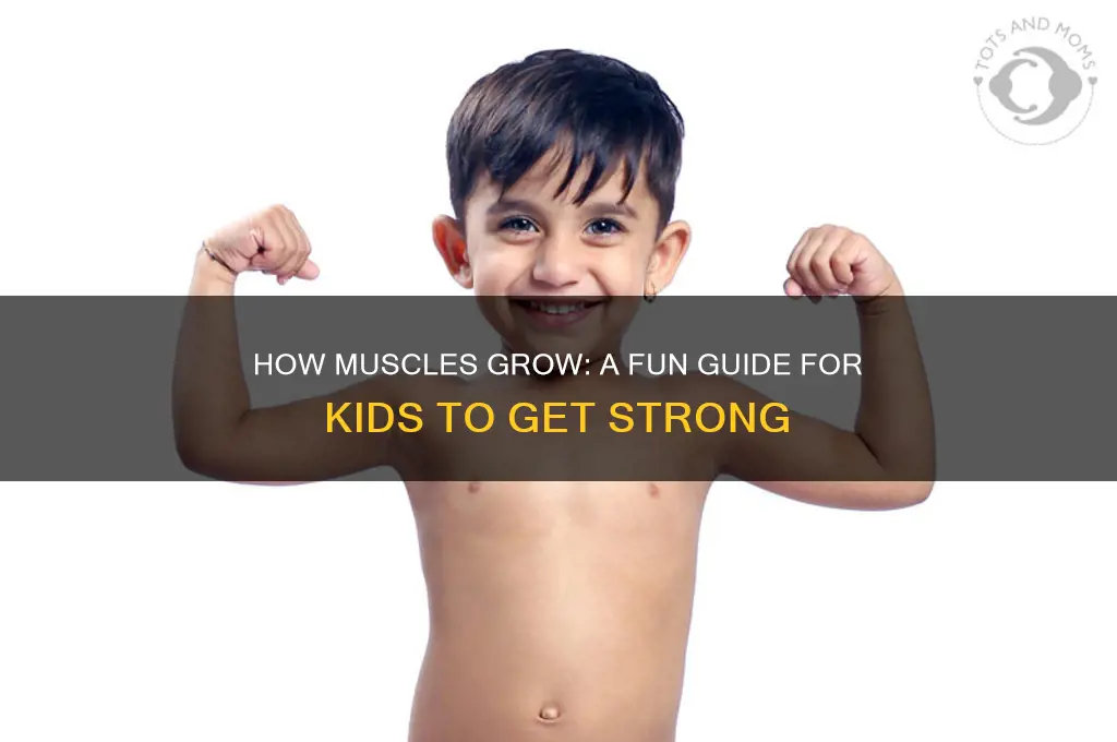 How Muscles Grow: A Fun Guide For Kids To Get Strong | CyVigor