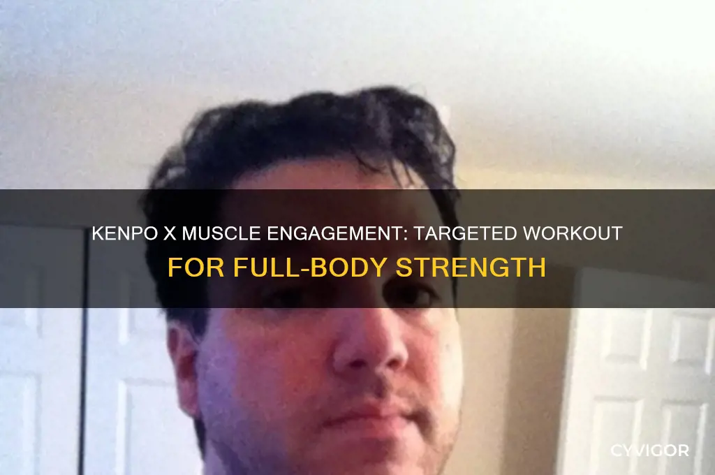Kenpo X Muscle Engagement: Targeted Workout For Full-Body Strength ...