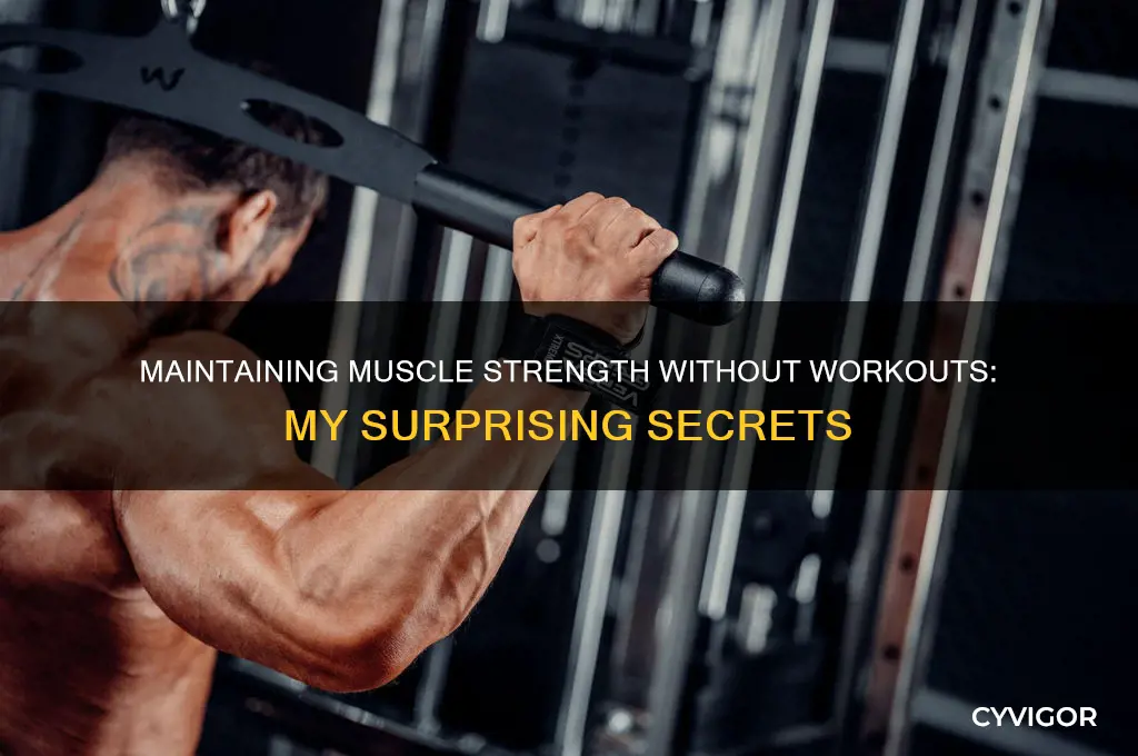 Maintaining Muscle Strength Without Workouts: My Surprising Secrets ...