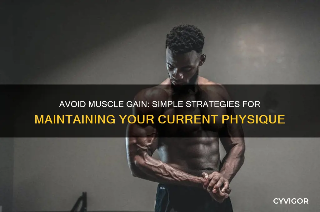 Avoid Muscle Gain: Simple Strategies For Maintaining Your Current ...
