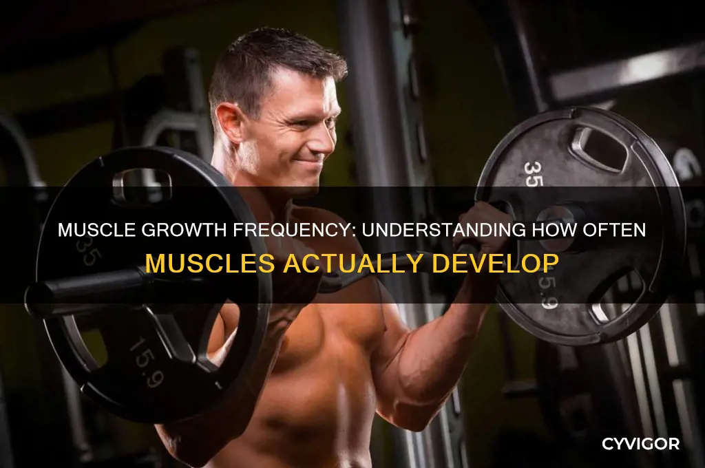 Muscle Growth Frequency: Understanding How Often Muscles Actually ...