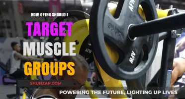 Vmo Muscle Isolation And Targeting Techniques For Leg Workouts | CyVigor