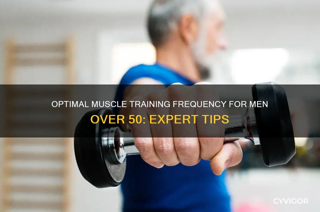 Optimal Muscle Training Frequency For Men Over 50: Expert Tips | CyVigor