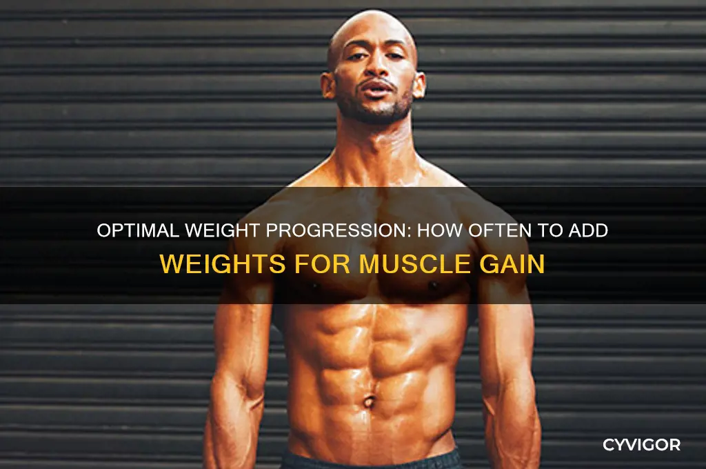 Optimal Weight Progression: How Often To Add Weights For Muscle Gain ...
