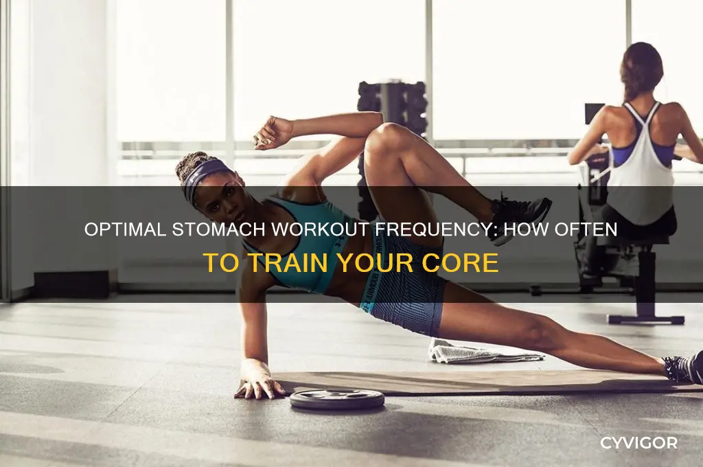 Optimal Stomach Workout Frequency: How Often To Train Your Core | CyVigor