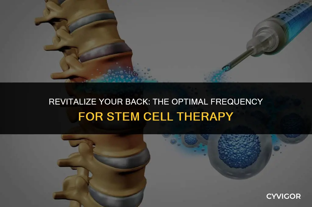 Revitalize Your Back: The Optimal Frequency For Stem Cell Therapy | CyVigor