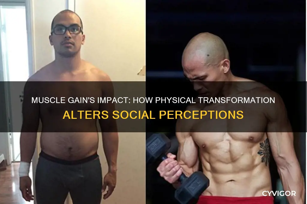 Muscle Gain's Impact: How Physical Transformation Alters Social ...