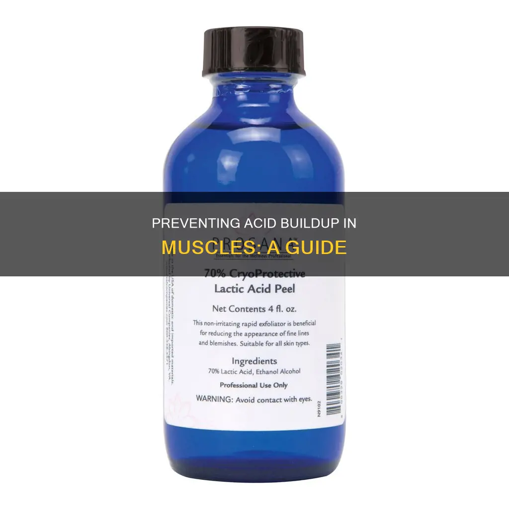 Preventing Acid Buildup In Muscles: A Guide | CyVigor