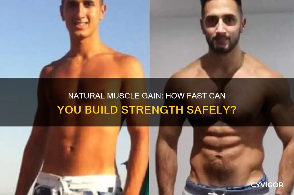 Natural Muscle Gain: How Fast Can You Build Strength Safely? | CyVigor