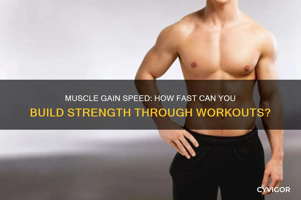Muscle Gain Speed: How Fast Can You Build Strength Through Workouts ...