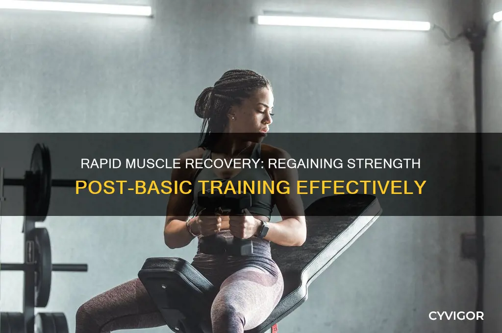 Rapid Muscle Recovery: Regaining Strength Post-Basic Training ...