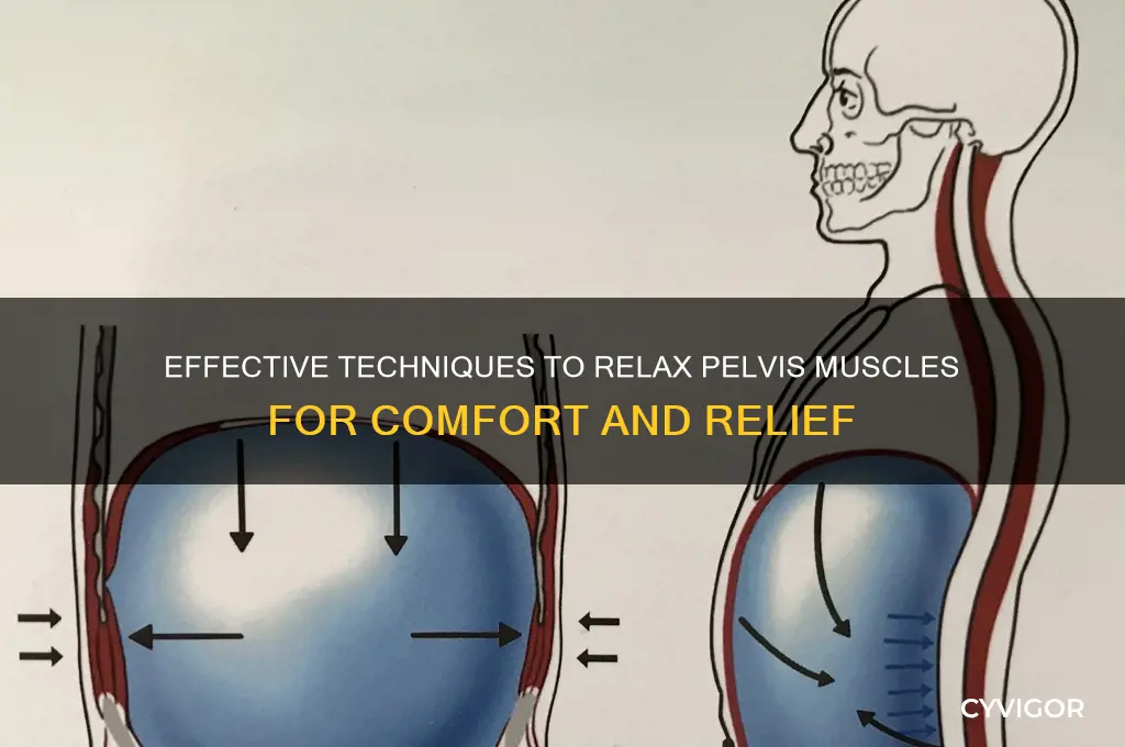Effective Techniques To Relax Pelvis Muscles For Comfort And Relief ...
