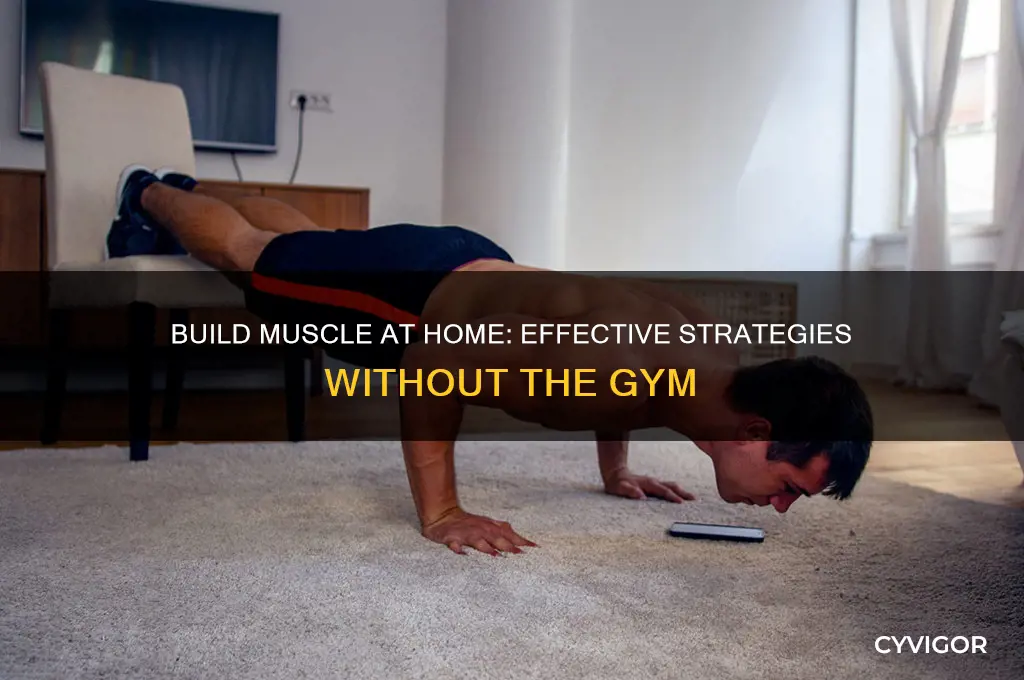 Build Muscle At Home: Effective Strategies Without The Gym | CyVigor