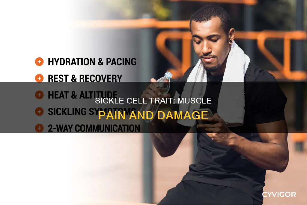 Sickle Cell Trait: Muscle Pain And Damage | CyVigor