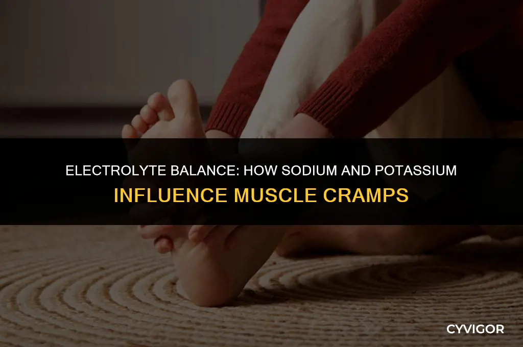 Electrolyte Balance: How Sodium And Potassium Influence Muscle Cramps ...