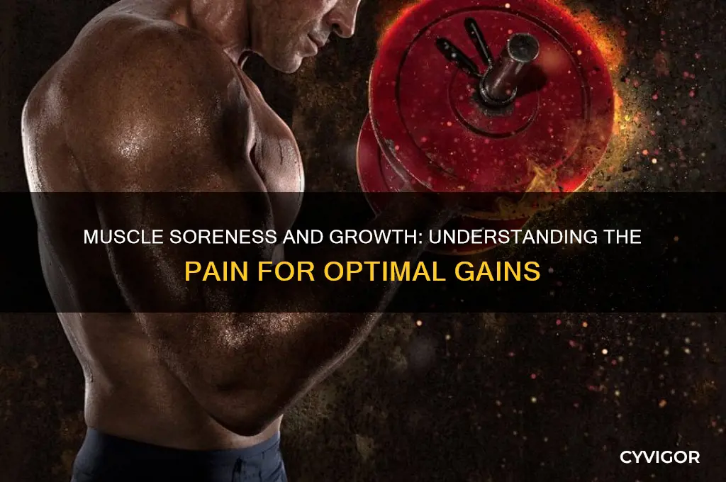 Muscle Soreness And Growth: Understanding The Pain For Optimal Gains ...