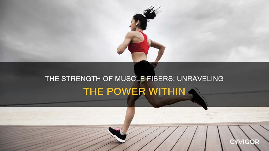 The Strength Of Muscle Fibers: Unraveling The Power Within | CyVigor