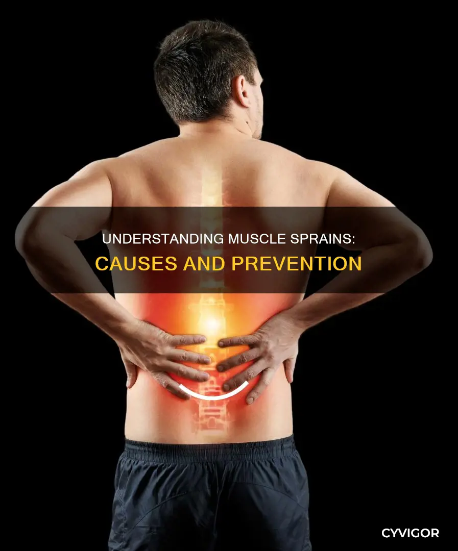 Understanding Muscle Sprains: Causes And Prevention | CyVigor